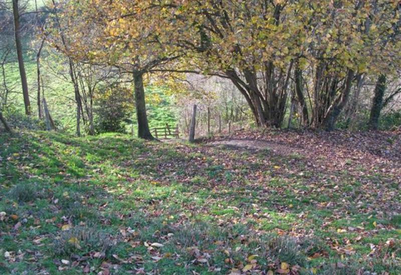 Natuurgebieden en bossen | Visit Dilbeek